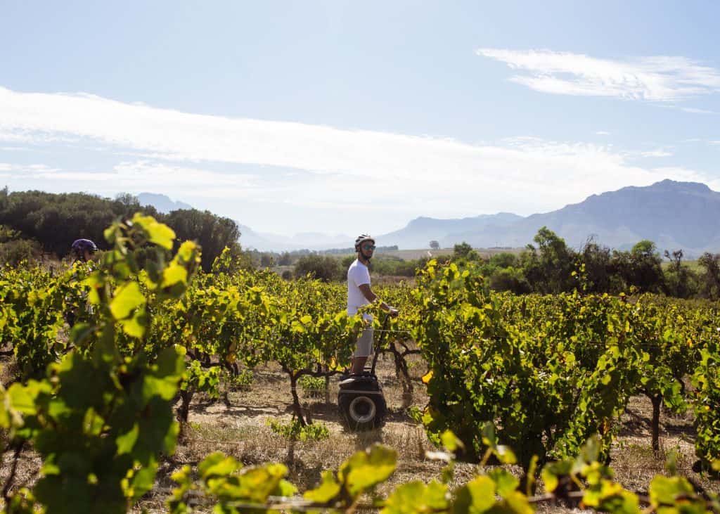 The Explorer Guide | Itineraries | Spier Wine Farm