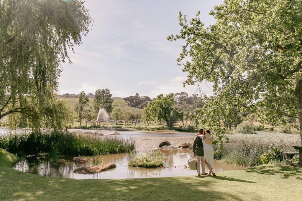 Welcome to Spier | Spier Wine Farm Stellenbosch