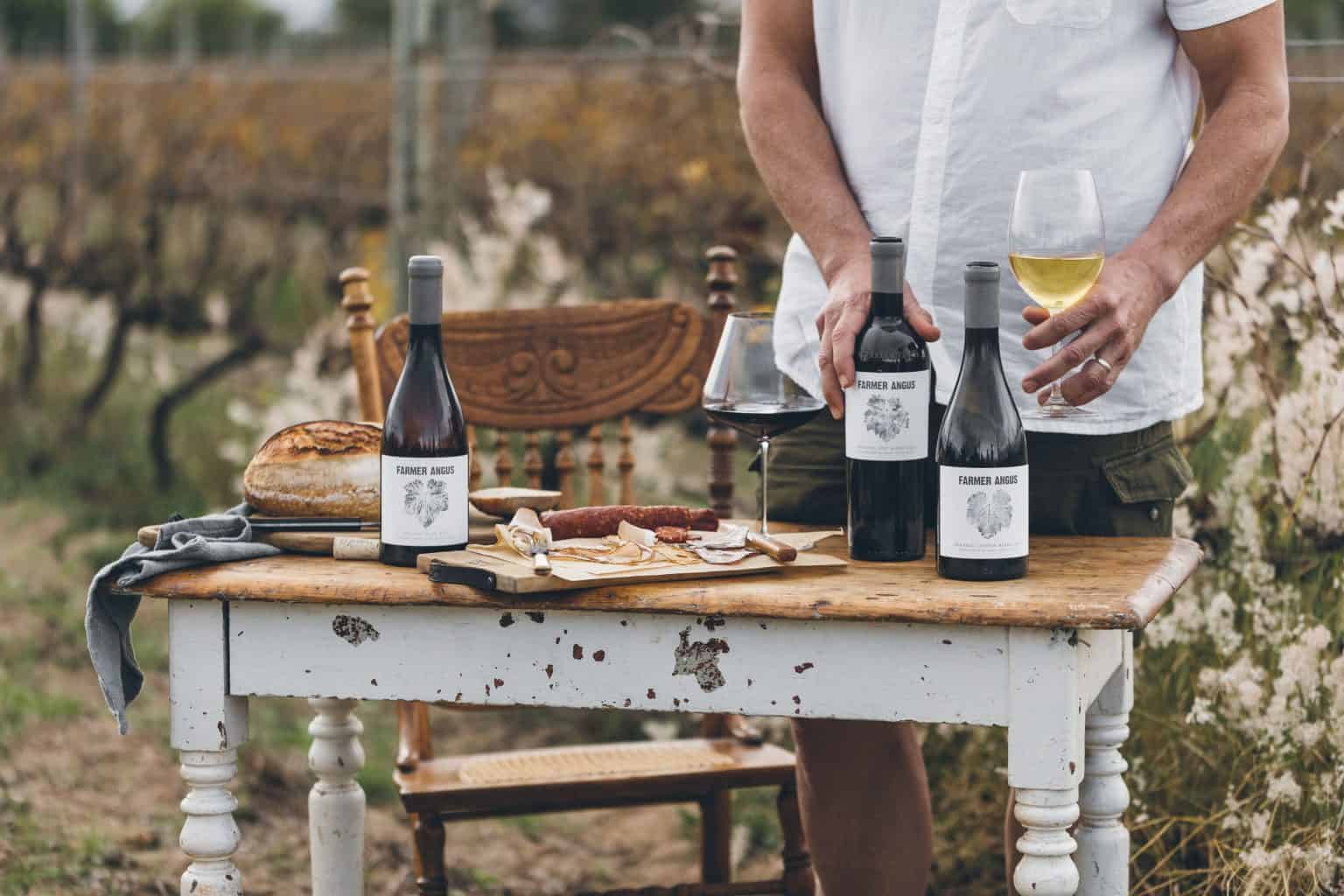Award-winning, true to terroir wines | Spier Wine Farm