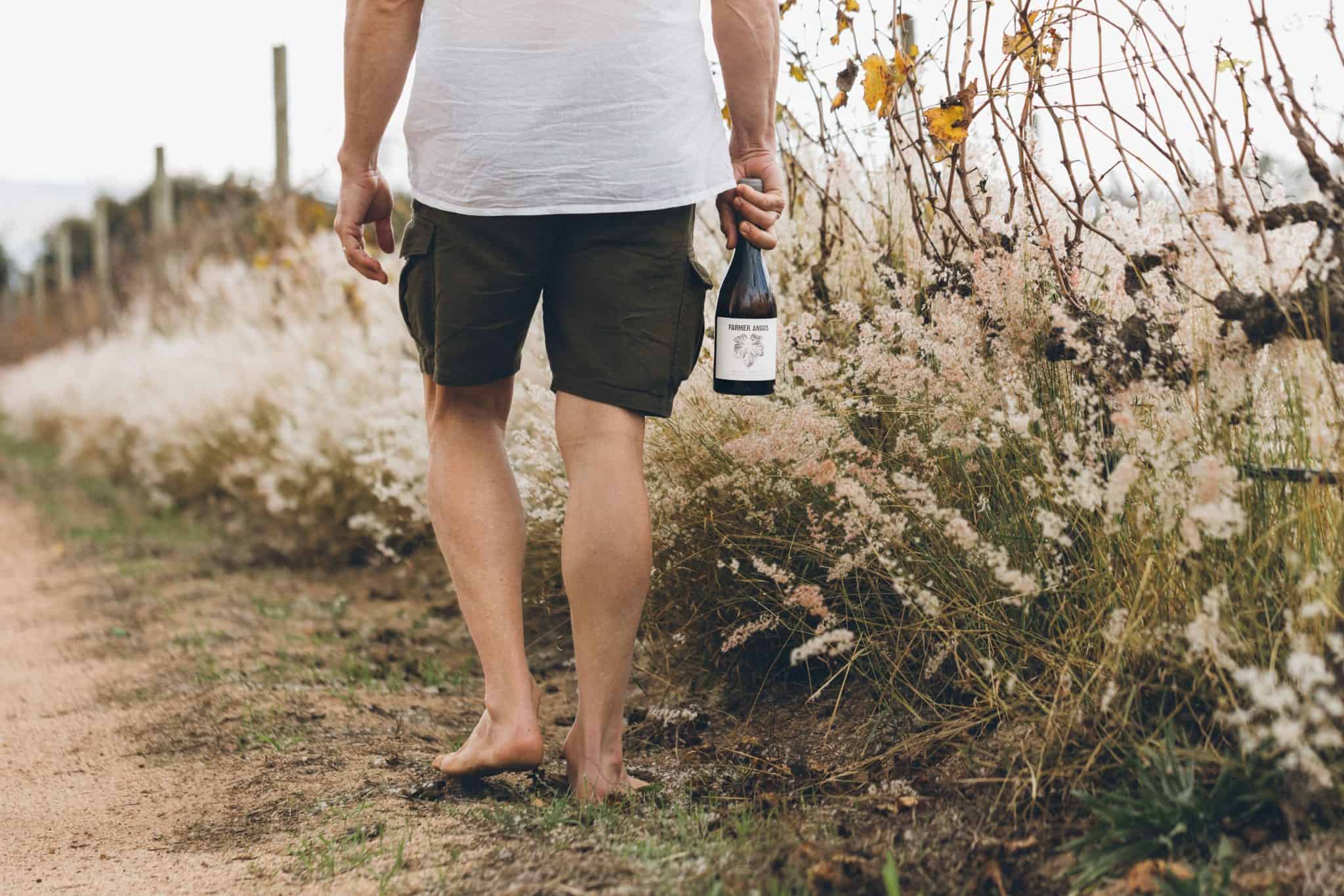 Award-winning, true to terroir wines | Spier Wine Farm
