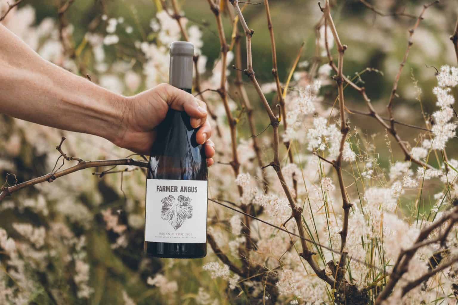 Award-winning, true to terroir wines | Spier Wine Farm