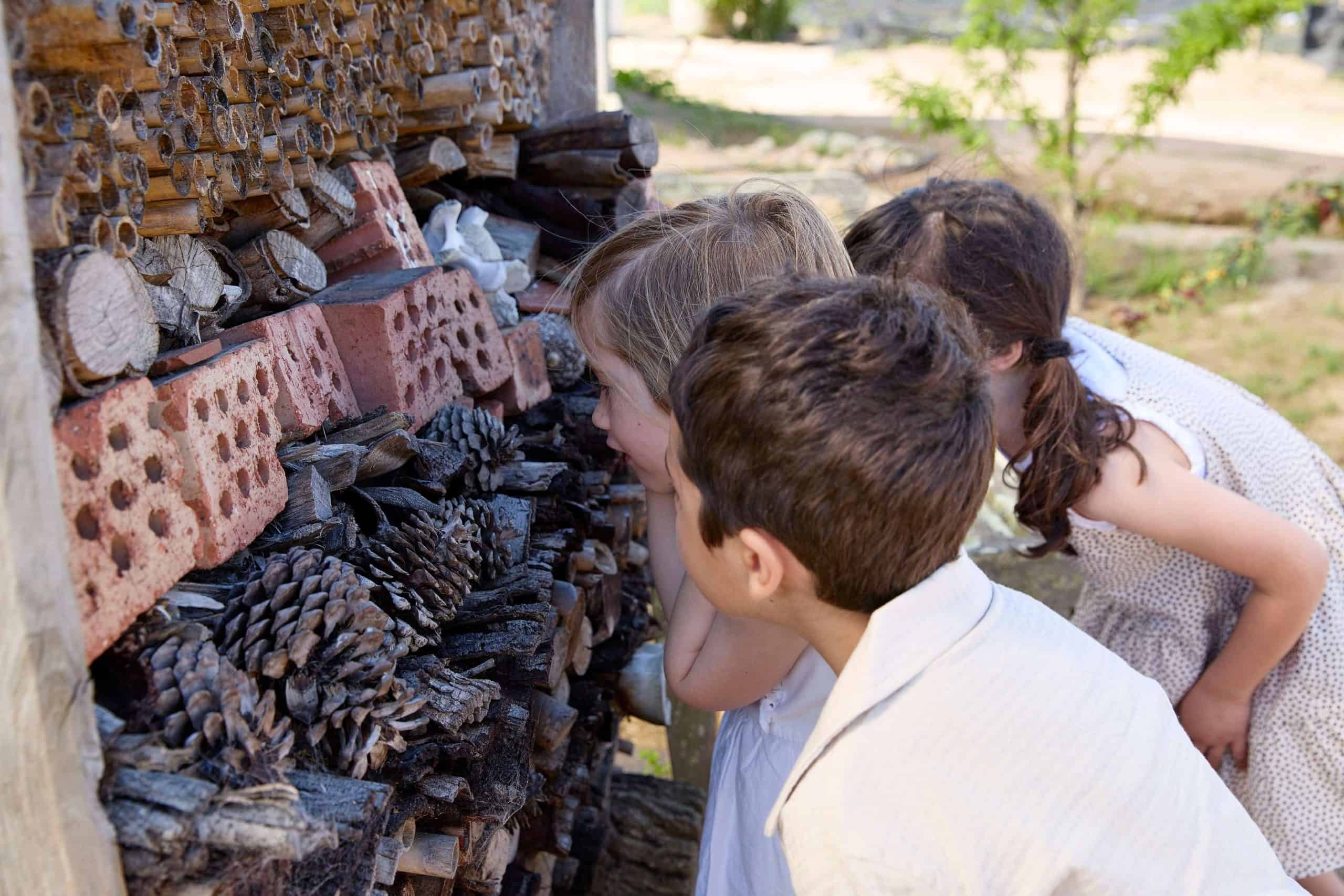 A Family Gathering | Special Offers | Spier Wine Farm