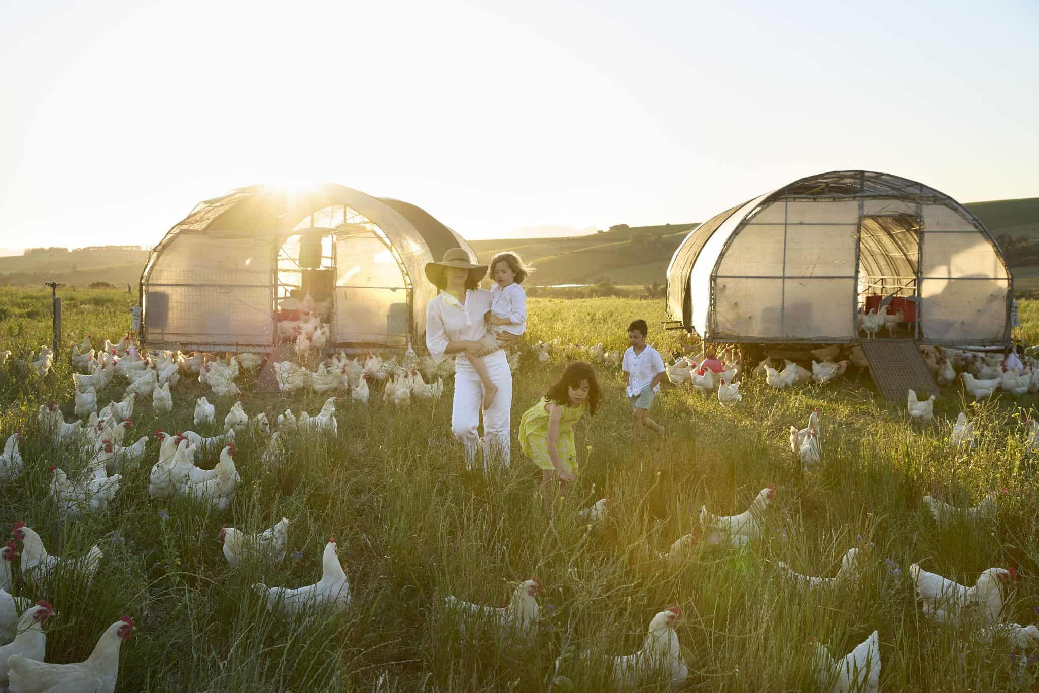 Welcome to Spier | Spier Wine Farm Stellenbosch