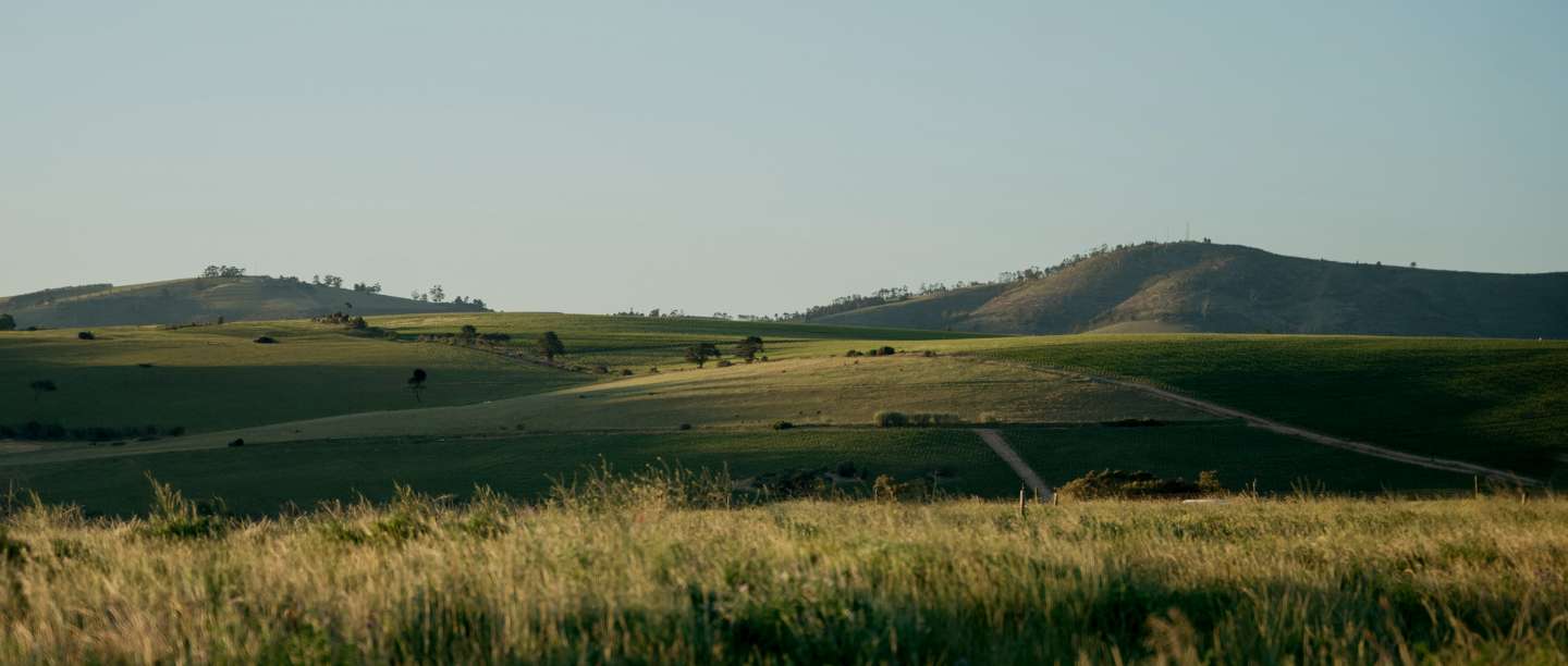 A Valley Worth Believing In | spier
