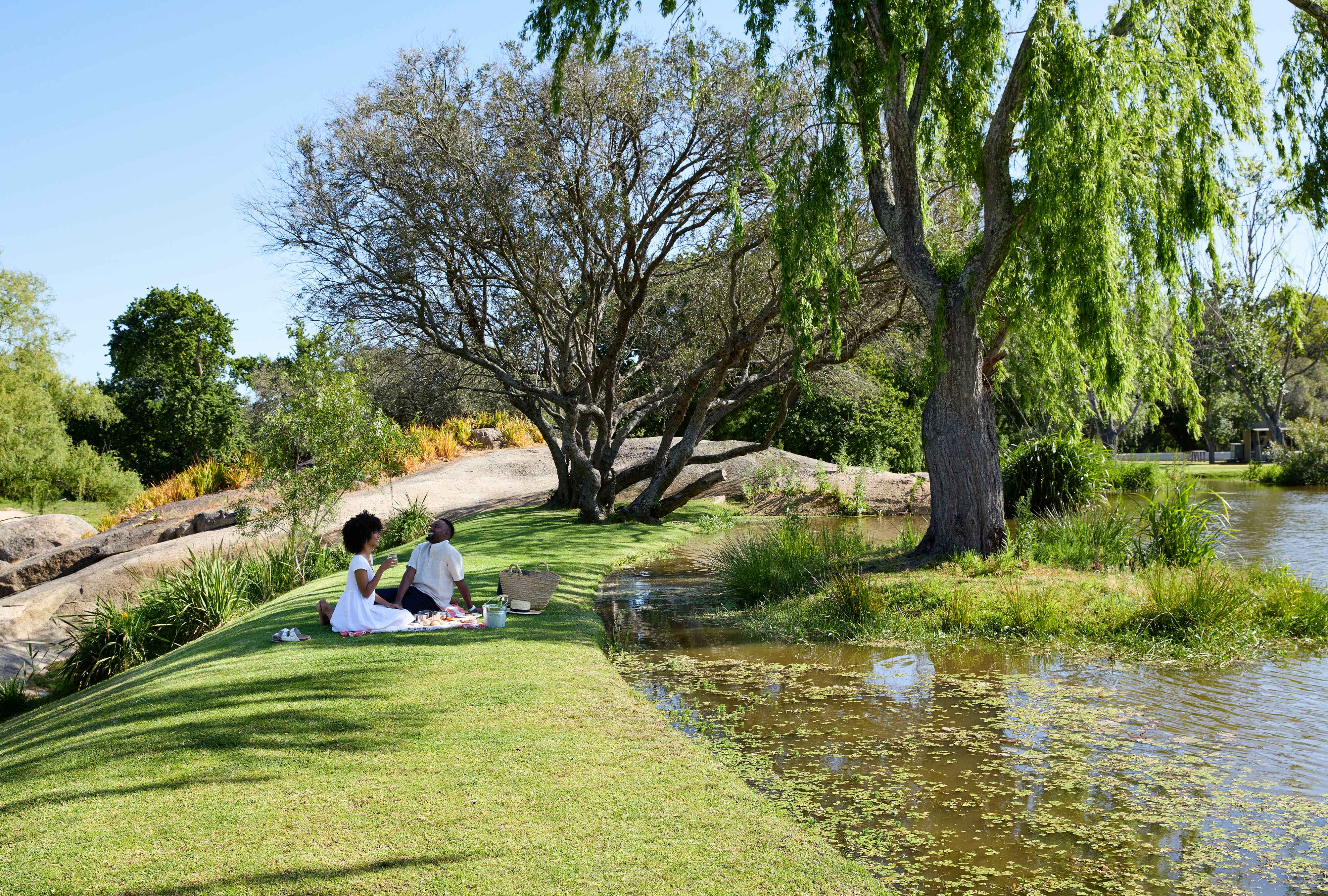 Our Story | Spier Wine Farm Stellenbosch